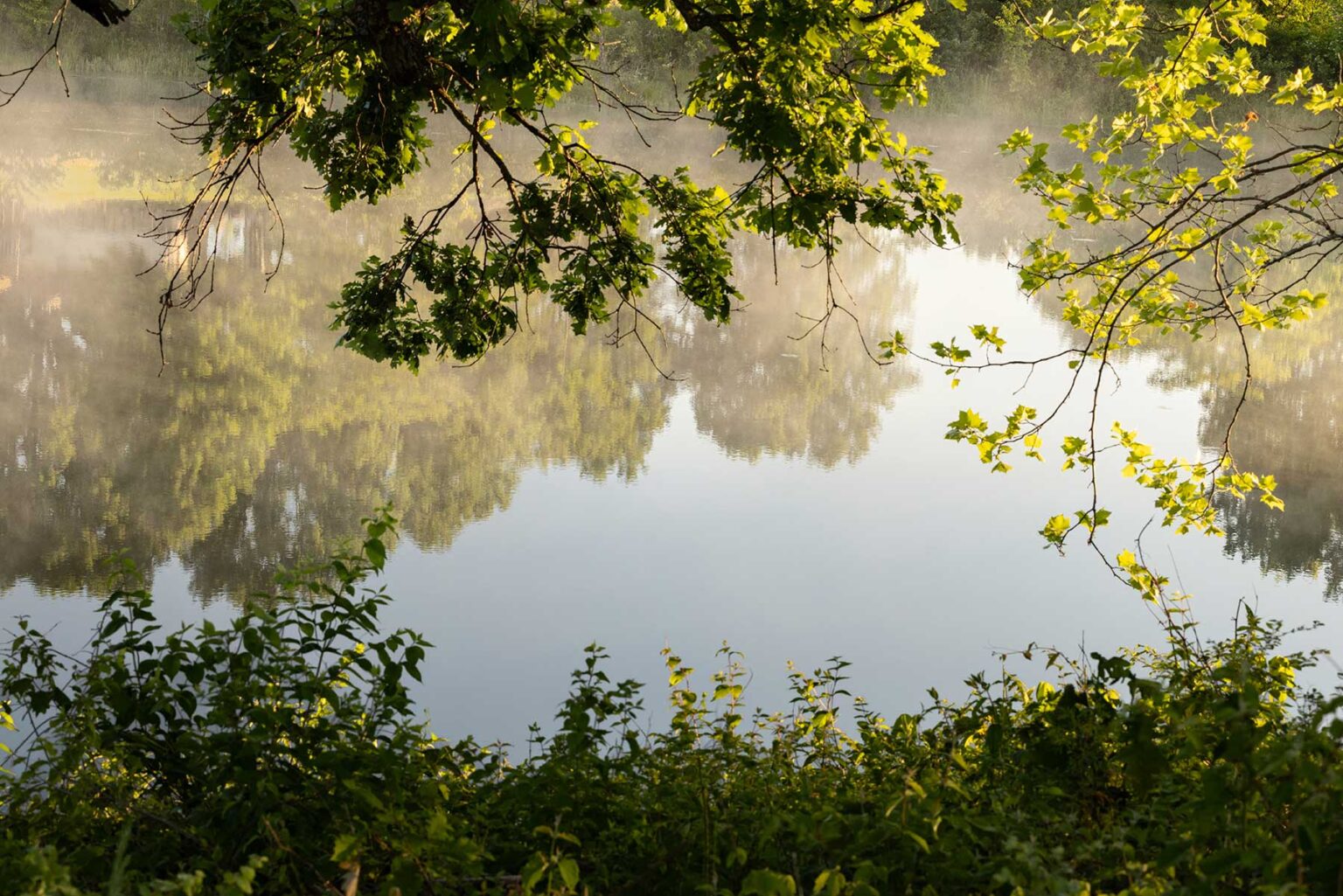 Weekends in Weston - design KC